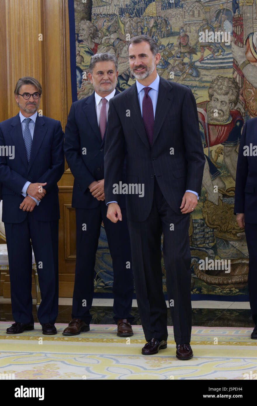 Spanish King Felipe VI during audience in PalaceReal in Madrid, Spain ...