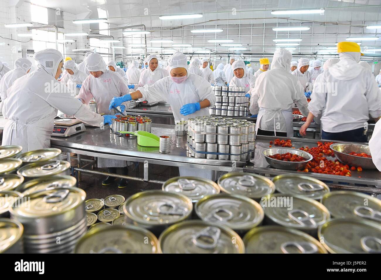 Food processing company hi-res stock photography and images - Alamy
