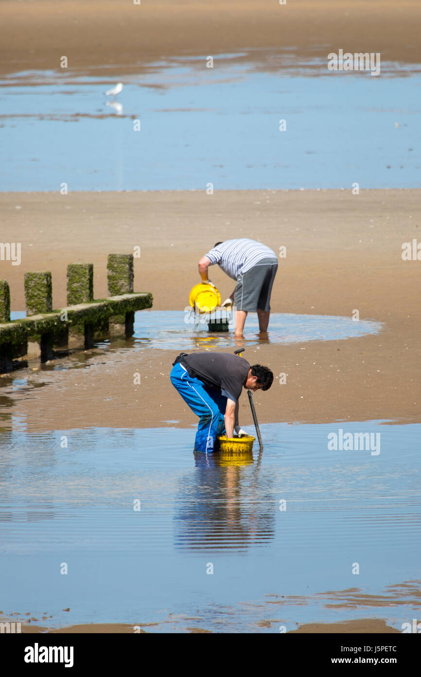Washing fishing bait hi-res stock photography and images - Alamy