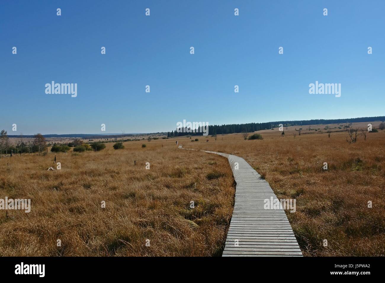 the long ridge Stock Photo - Alamy