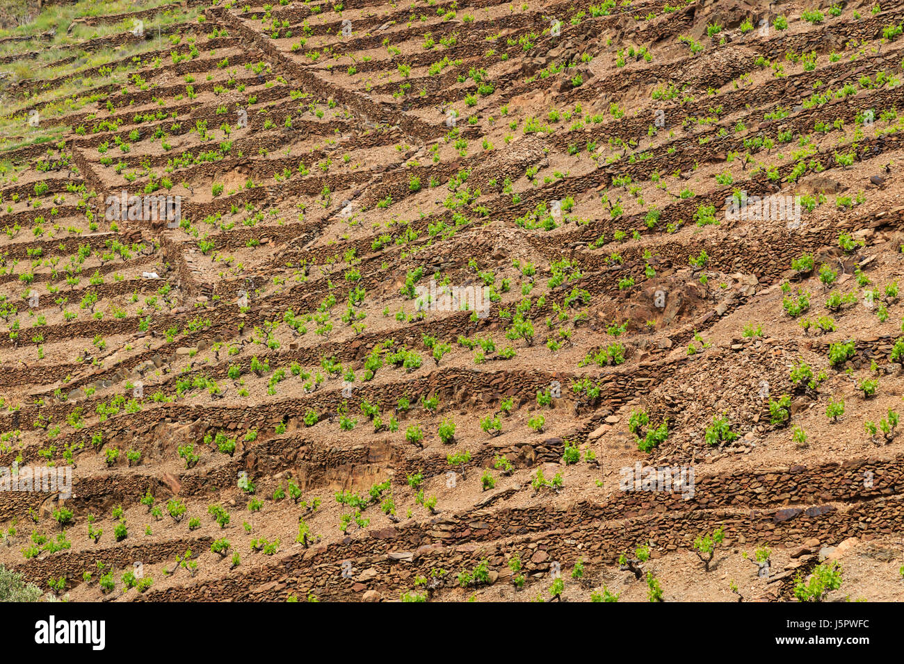 Banyuls aoc hi-res stock photography and images - Alamy