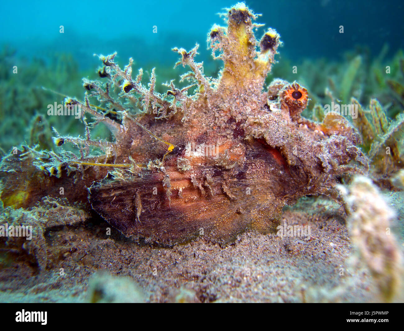 Devil walkman hi-res stock photography and images - Alamy