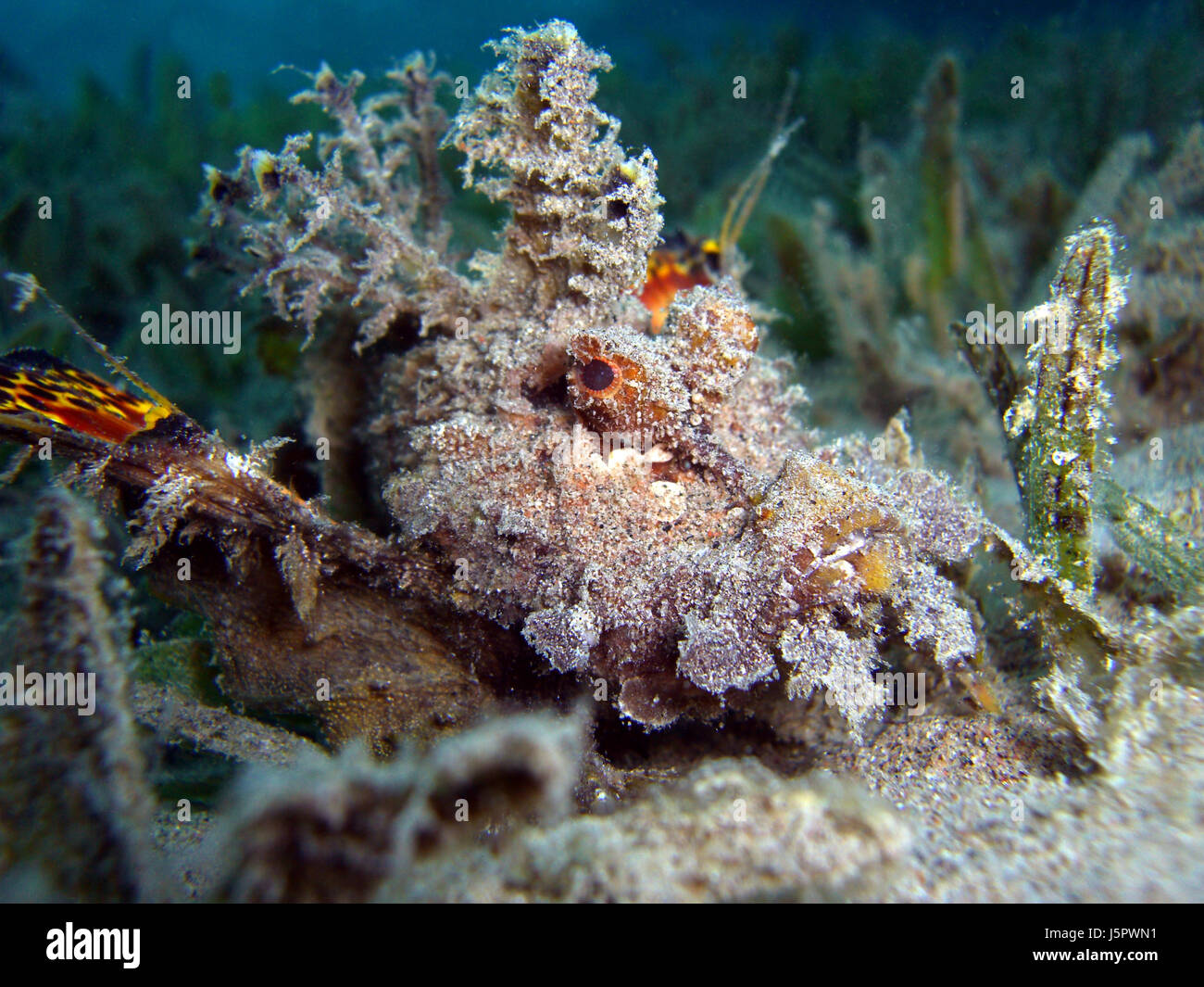 Devil walkman hi-res stock photography and images - Alamy