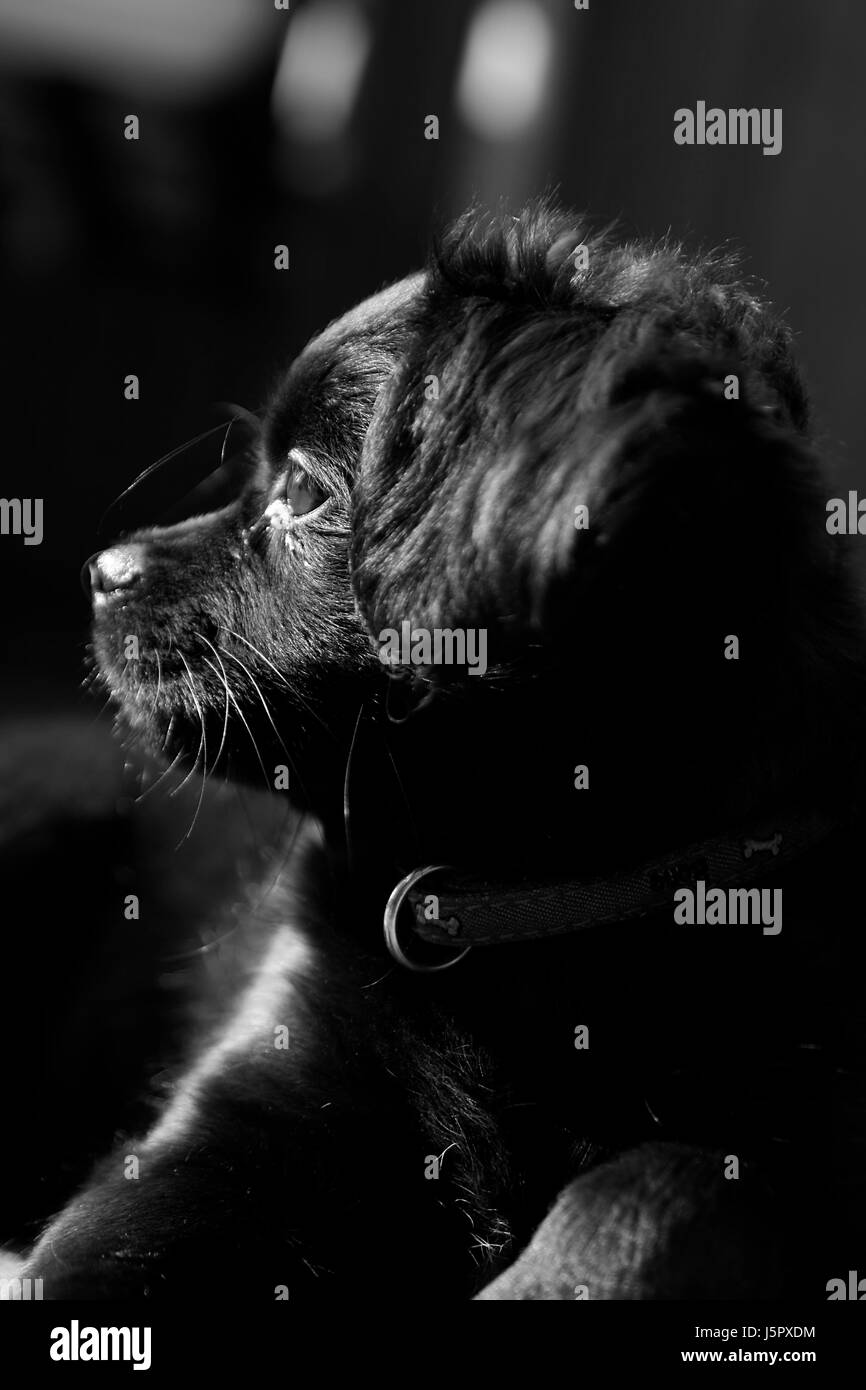 Lie side view Black and White Stock Photos & Images - Alamy