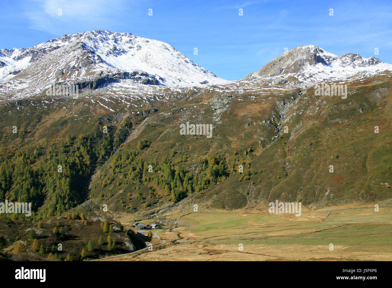 treeline at simplon pass Stock Photo - Alamy