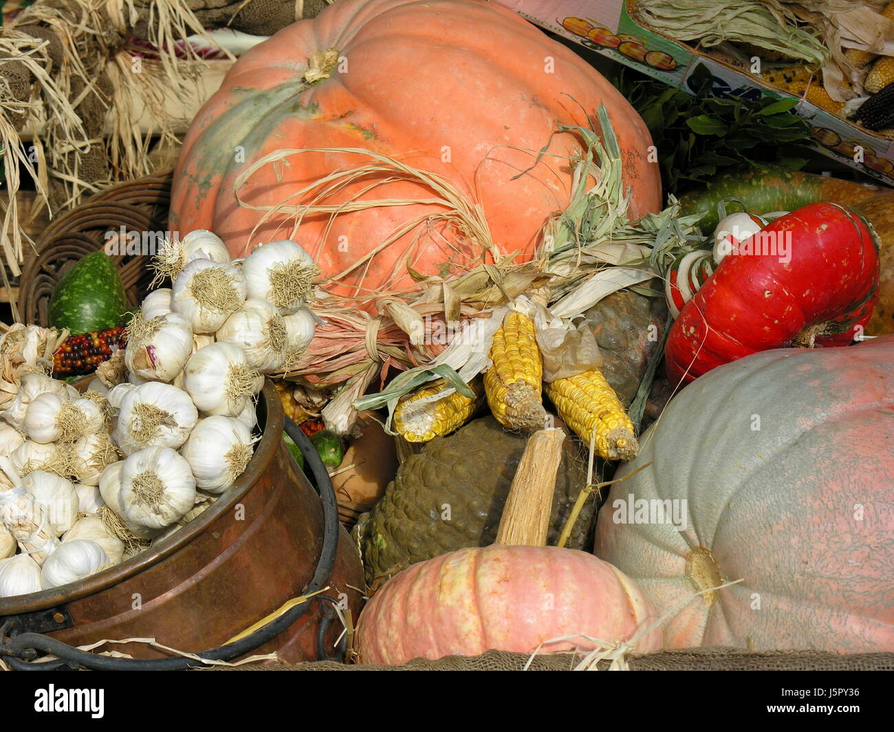 progenies fruits basket tubers vegetable tuber halloween decoration ...