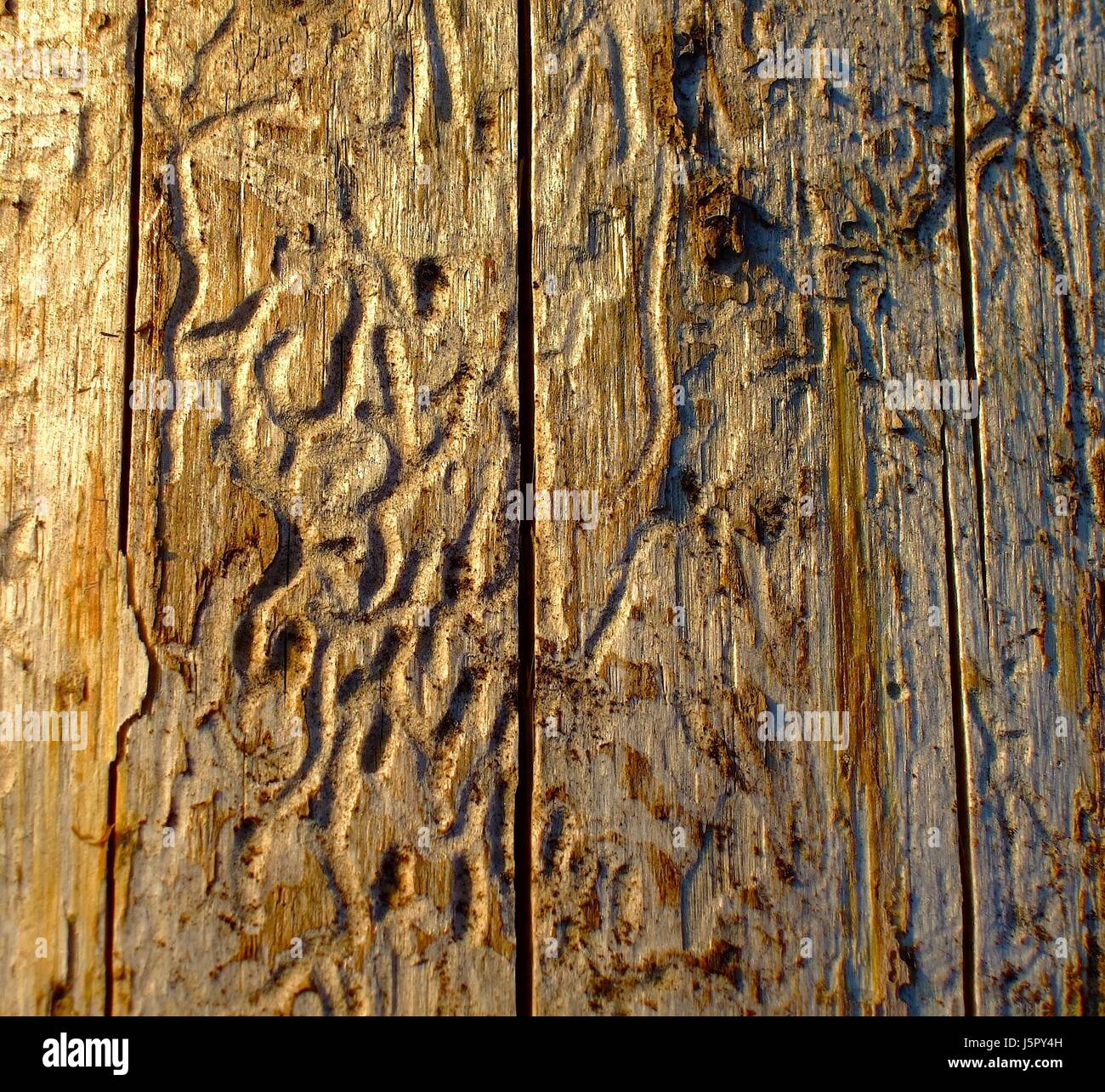 patterns in wood Stock Photo - Alamy