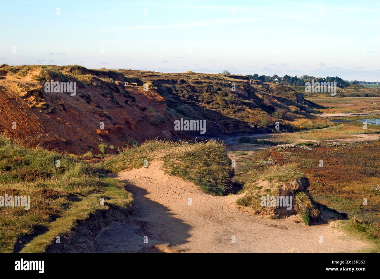 horizon plant water north sea salt water sea ocean coloured nature ...