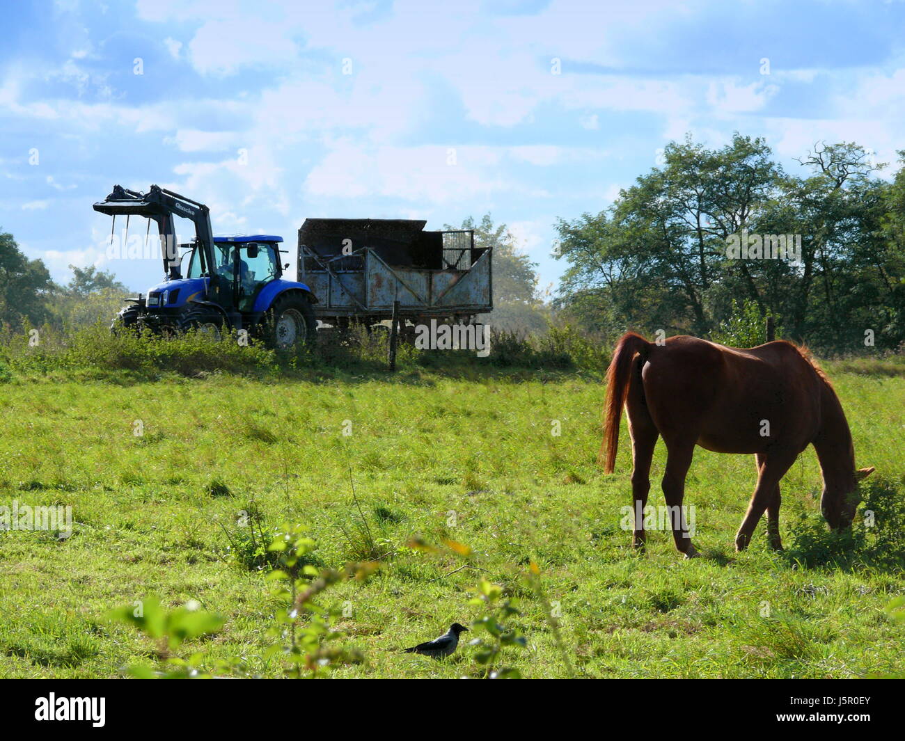 Horse engine hi-res stock photography and images - Alamy