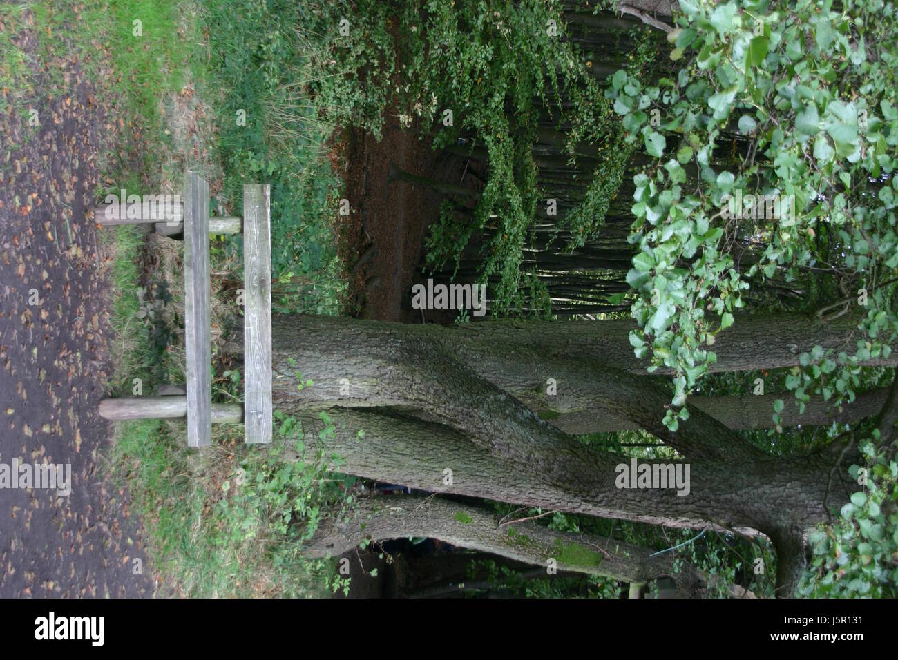 place of silence Stock Photo - Alamy