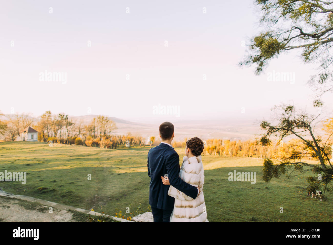 The back view of the newlyweds enjoying the landscape of forests and ...