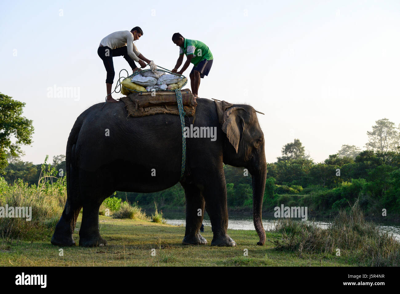 NEPAL, Terai, Chitwan Nationalpark, village Sauraha, Bhude Rapti River ...