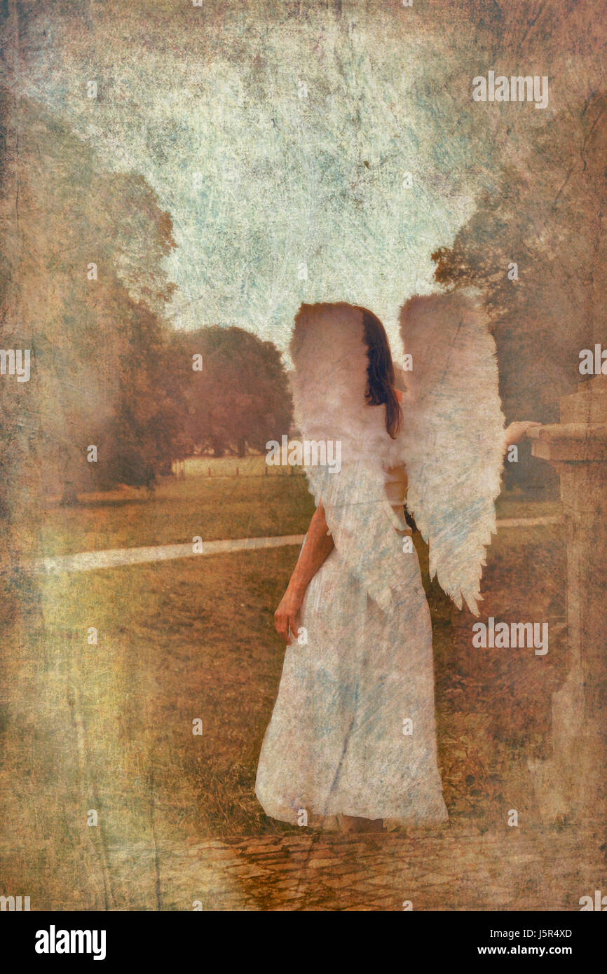 woman female feeling dream wing feel dreams angel angels fairy tale ...