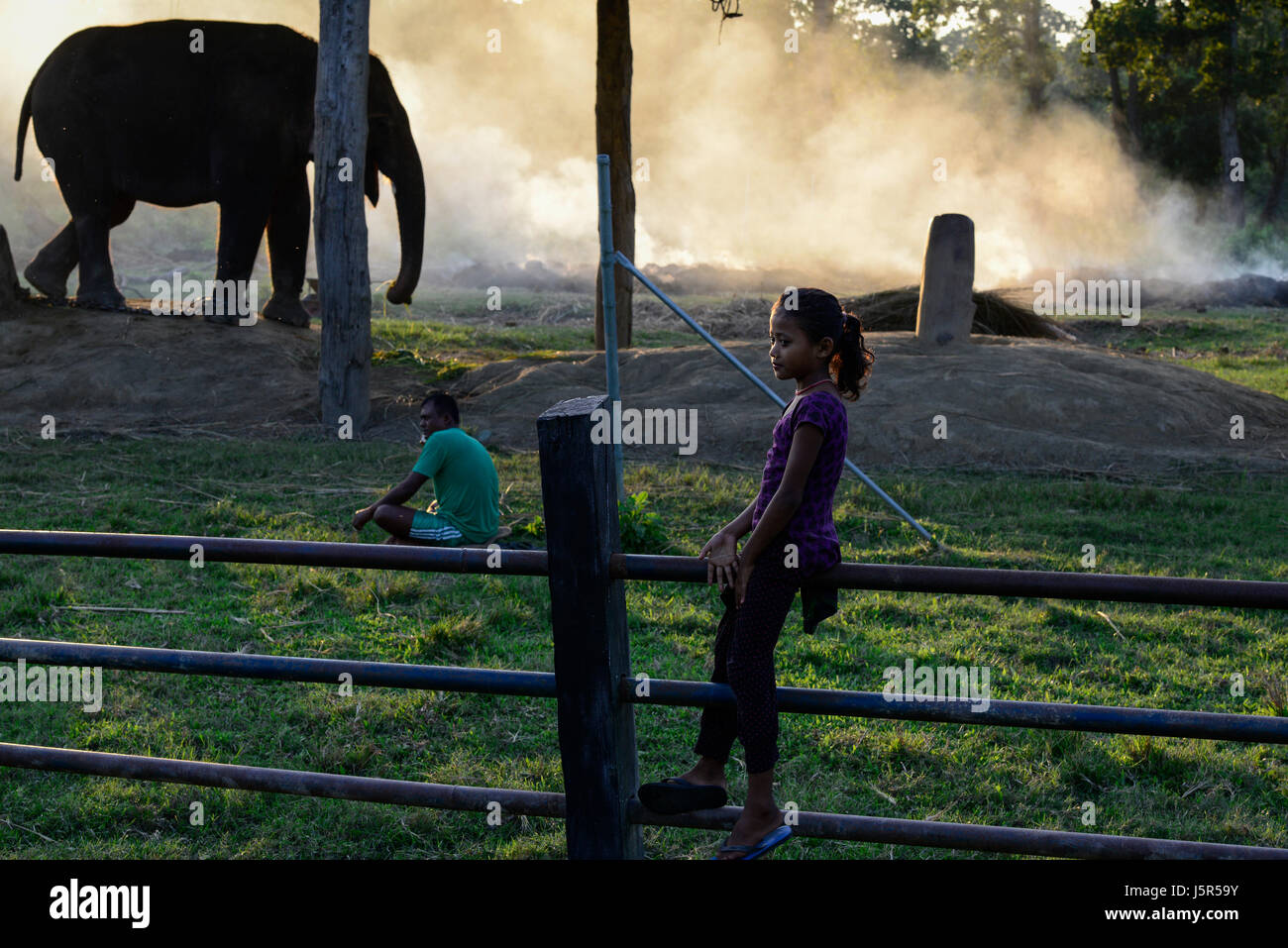 NEPAL, Terai, Chitwan Nationalpark, village Sauraha, Elephant breeding ...