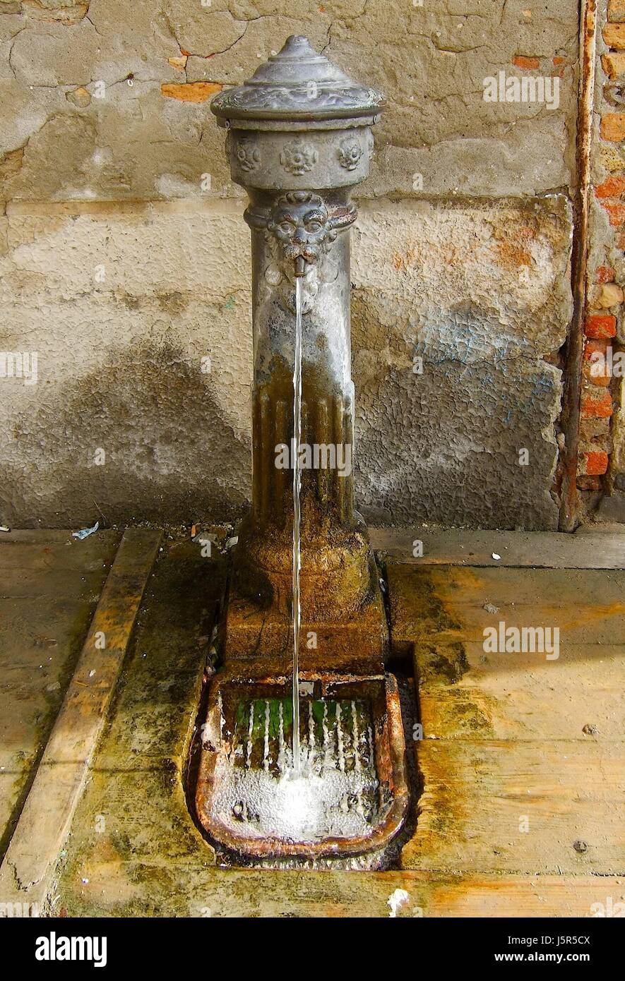 drink drinking bibs wall fountain squirt ray timber flooring gargoyle ...