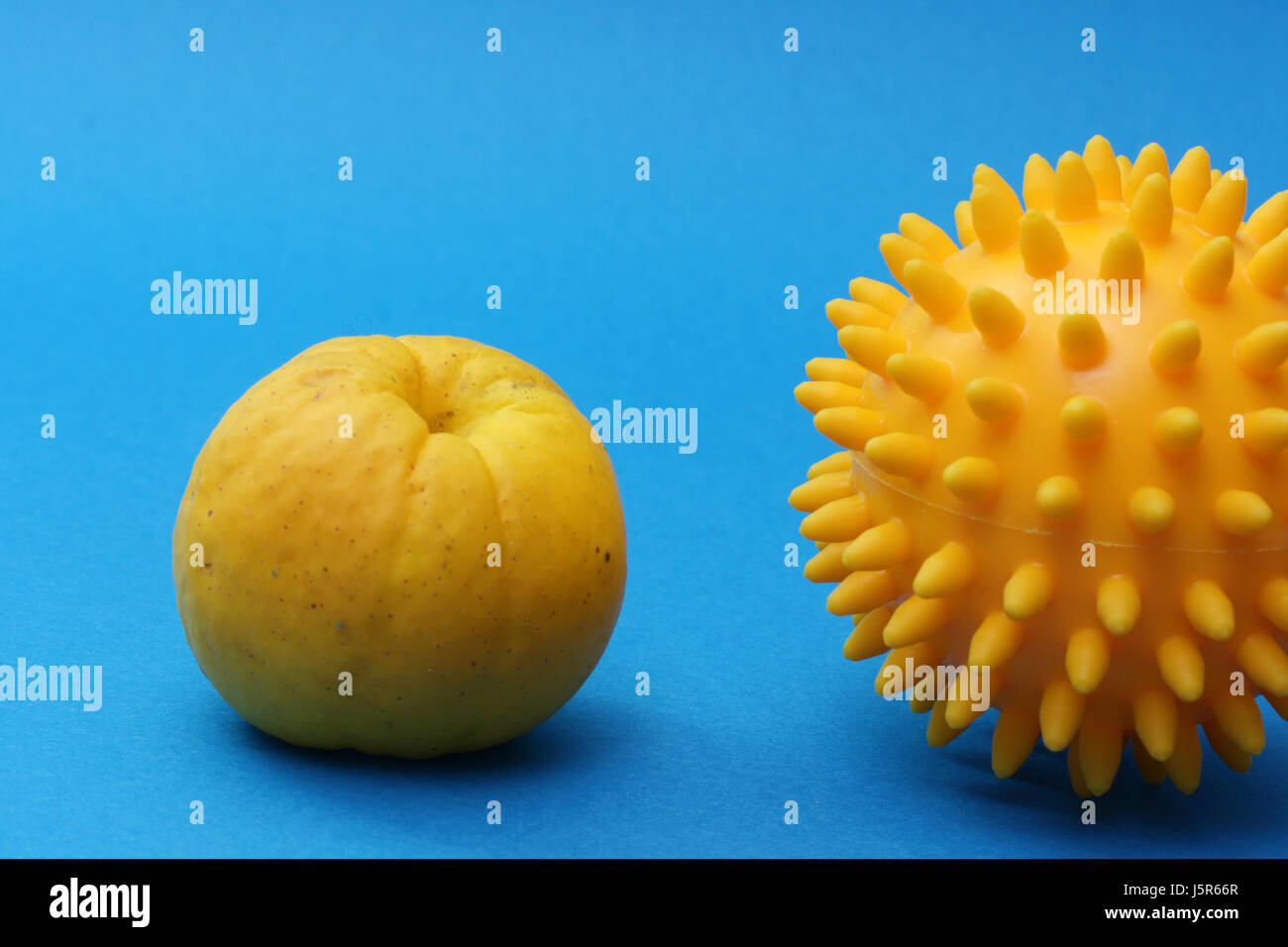 conversation blue prickle communication fruit abstract smooth symbol ...