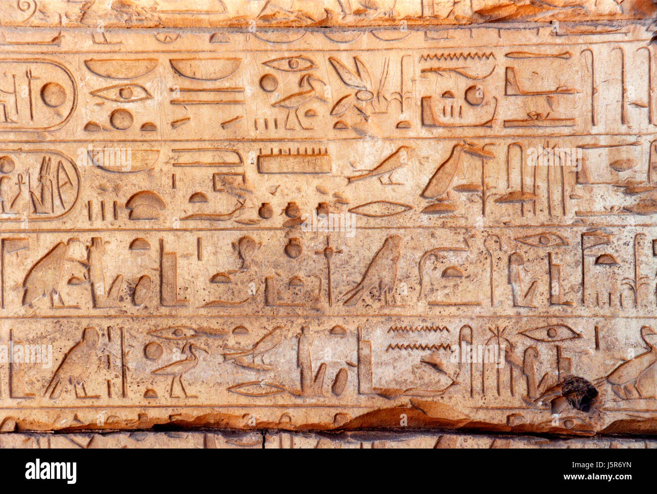 god writing font typography egypt lines language gods gravure ...