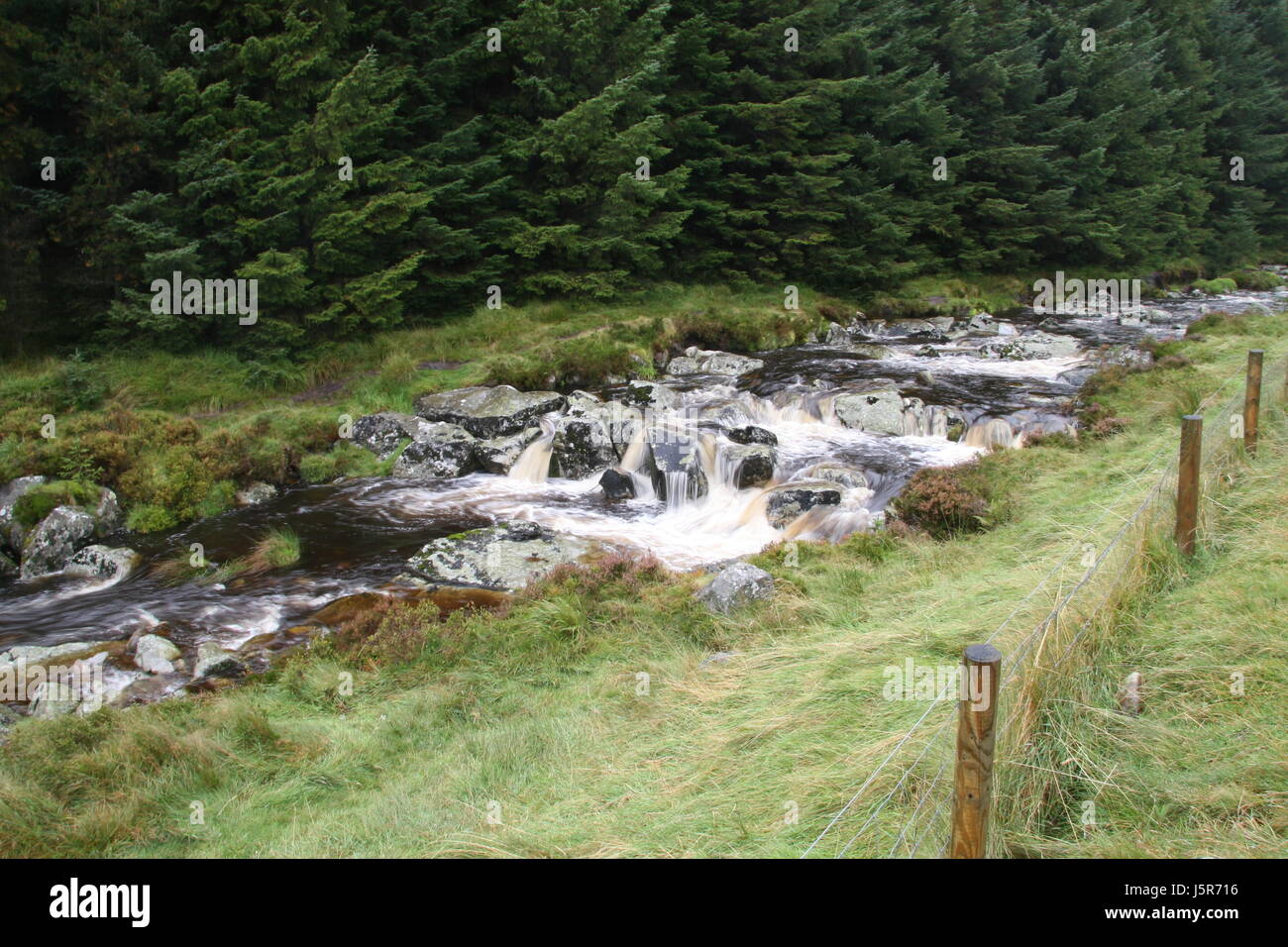 Fen stream hi-res stock photography and images - Alamy