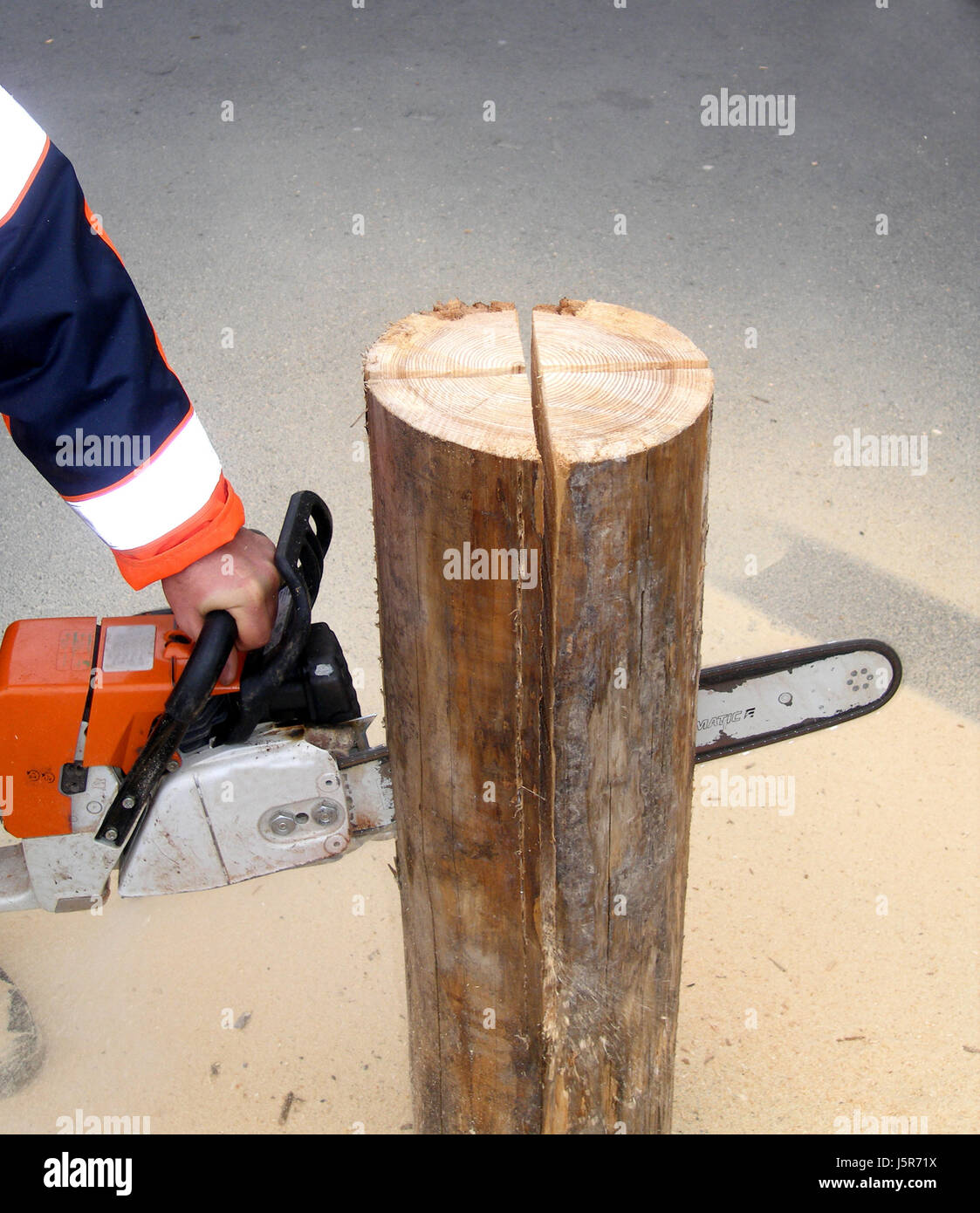 wood snug trunk pine fir fire conflagration traditional saw chain saw ...