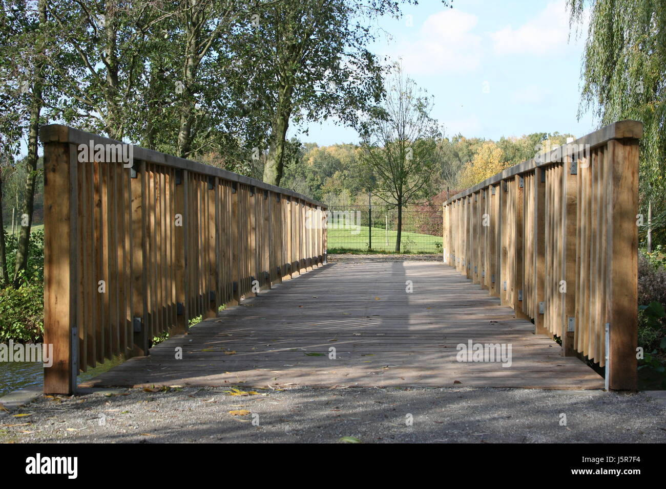 wood bridge transition planks leaves foliage tree trees park wood ...