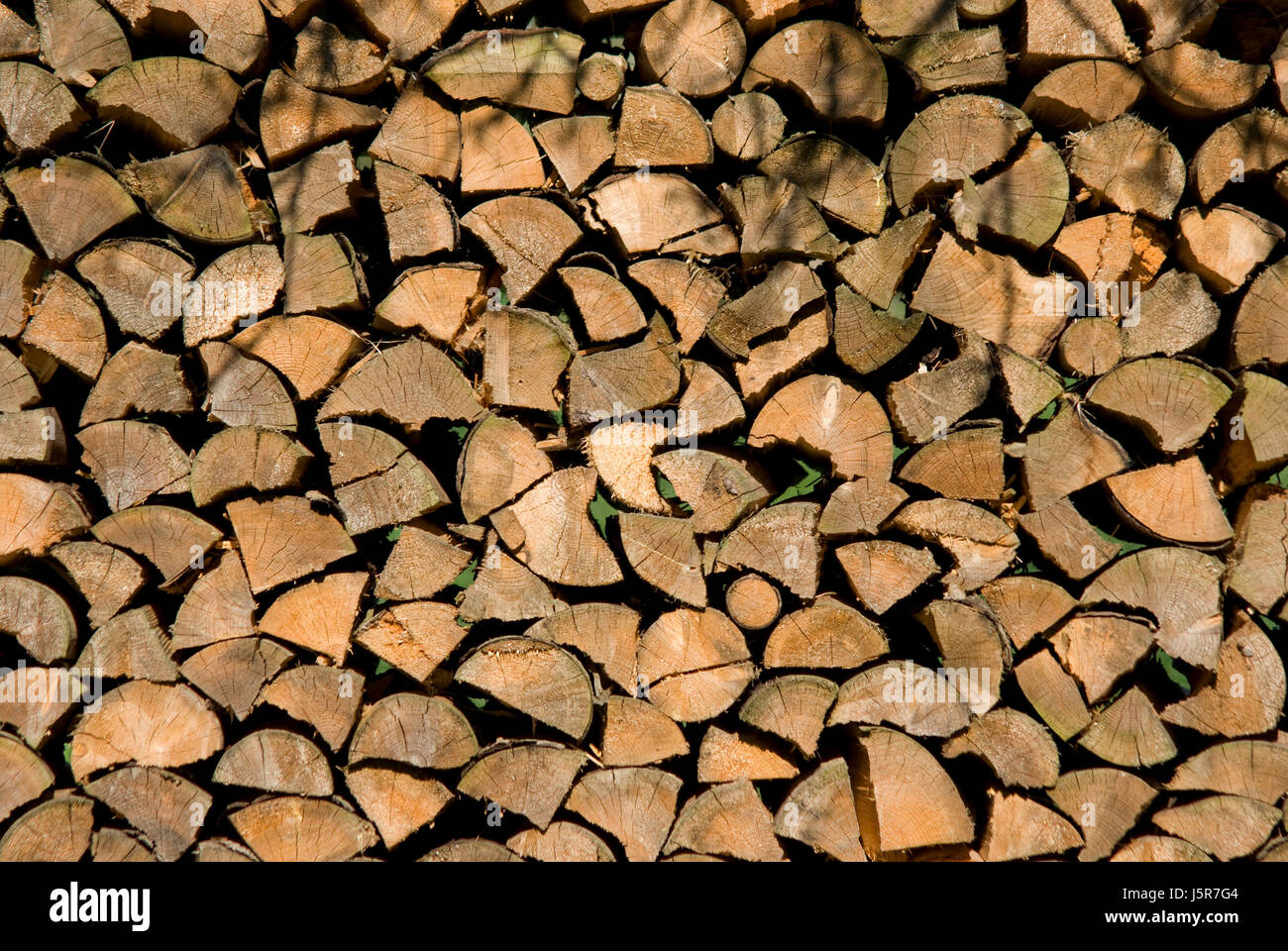 wood across cross-section firewood structure backdrop background pieces ...