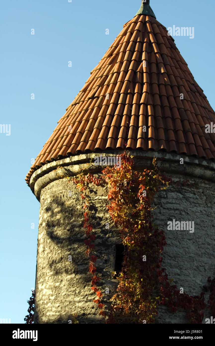 tower old town city wall watchtower estonia blue tower brown brownish ...