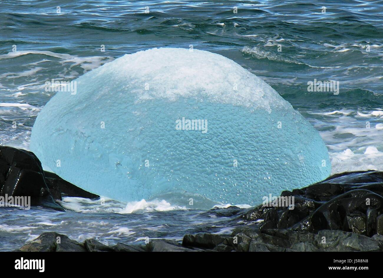blue arctic antarctic beach seaside the beach seashore ice honeycombs ...