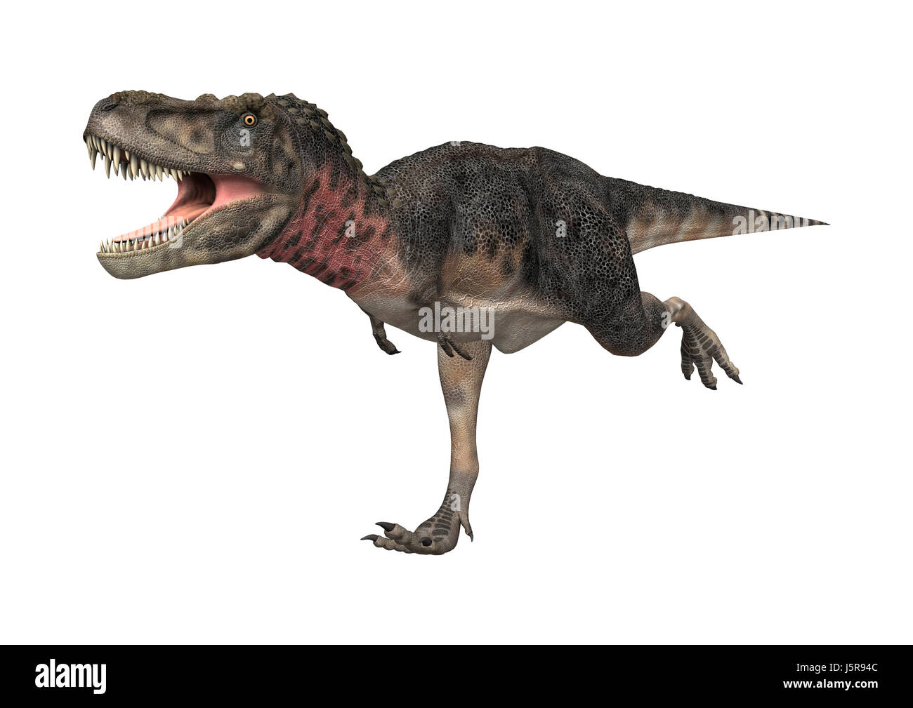 3D rendering of a dinosaur tarbosaurus isolated on white background ...