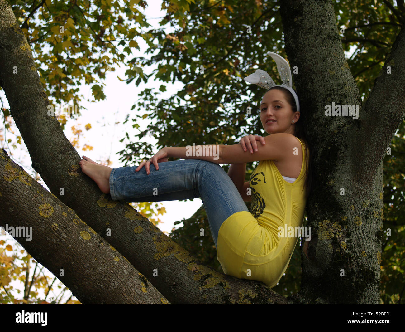 woman holiday female tree brown brownish brunette nice poses look ...