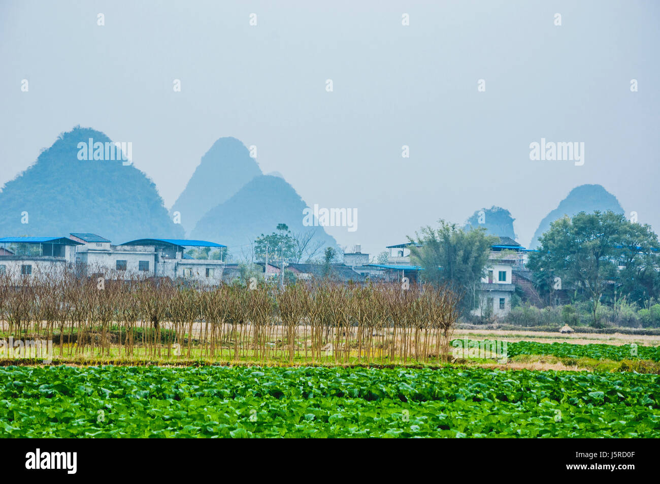 The colorful countryside scenery in autumn Stock Photo - Alamy
