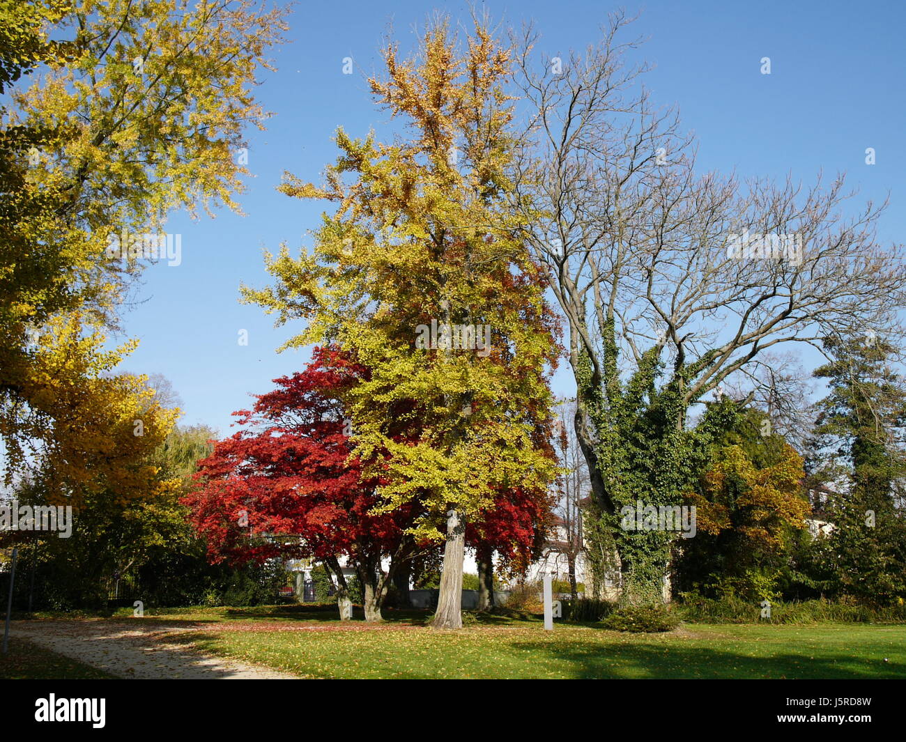 Foliage variations hi-res stock photography and images - Alamy