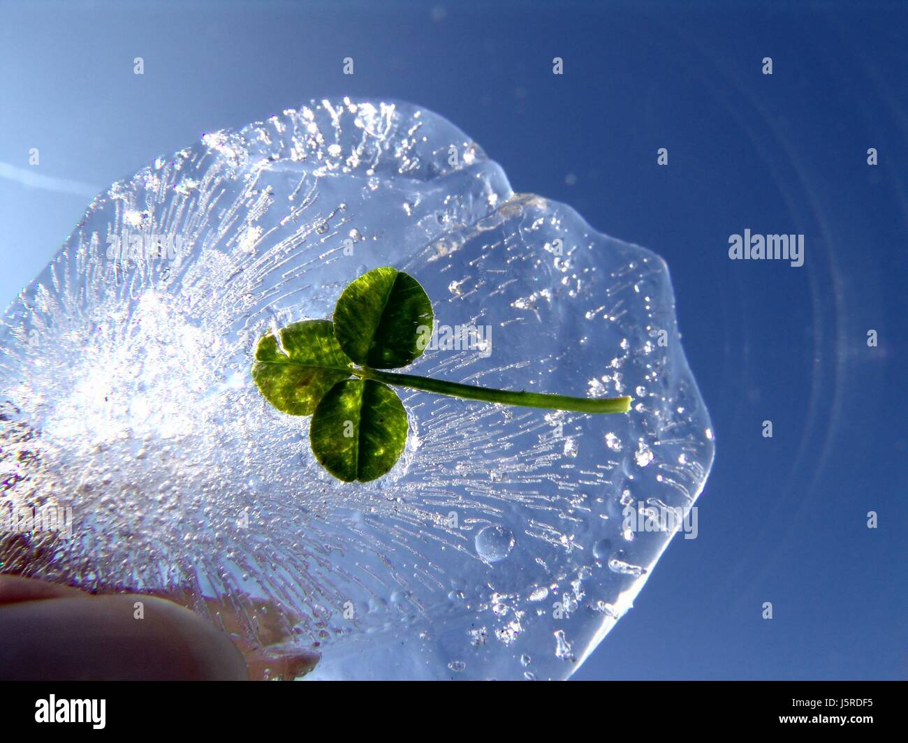 blue finger symbolic cold fantasy ice imagination clover stucco recluse ...