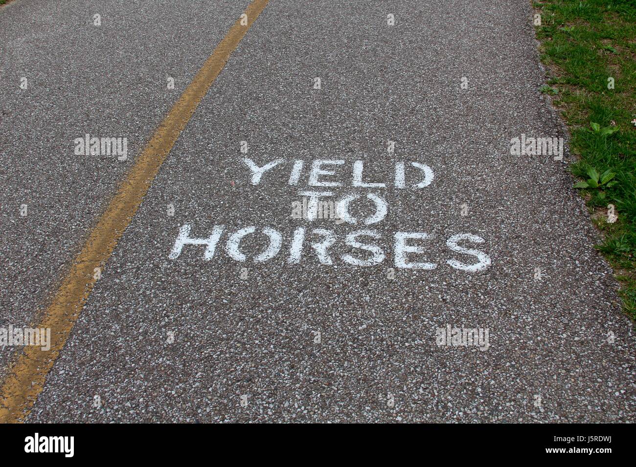 The nature trail and the foot paths of the park Stock Photo - Alamy
