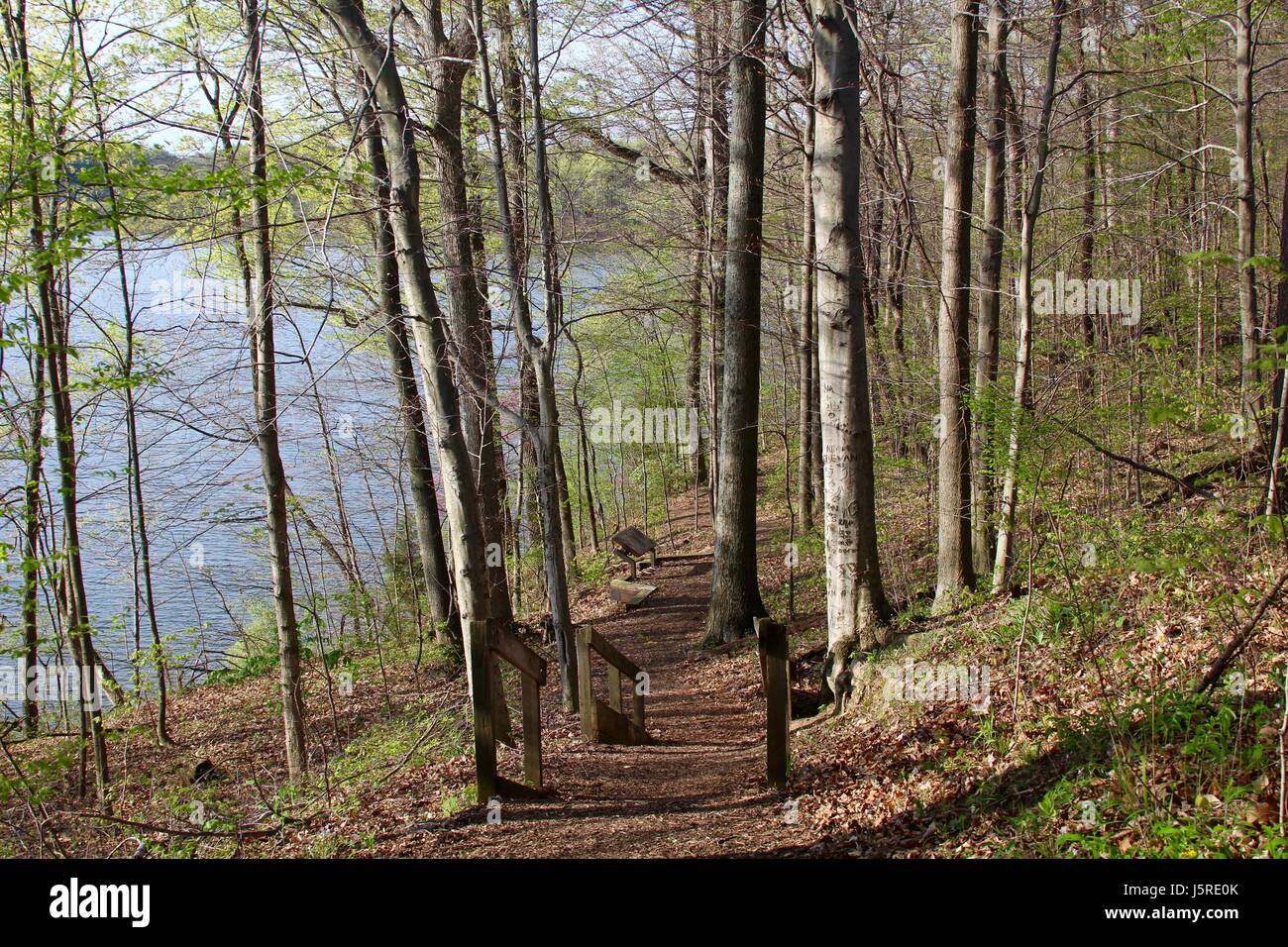 The nature trail and the foot paths of the park Stock Photo - Alamy