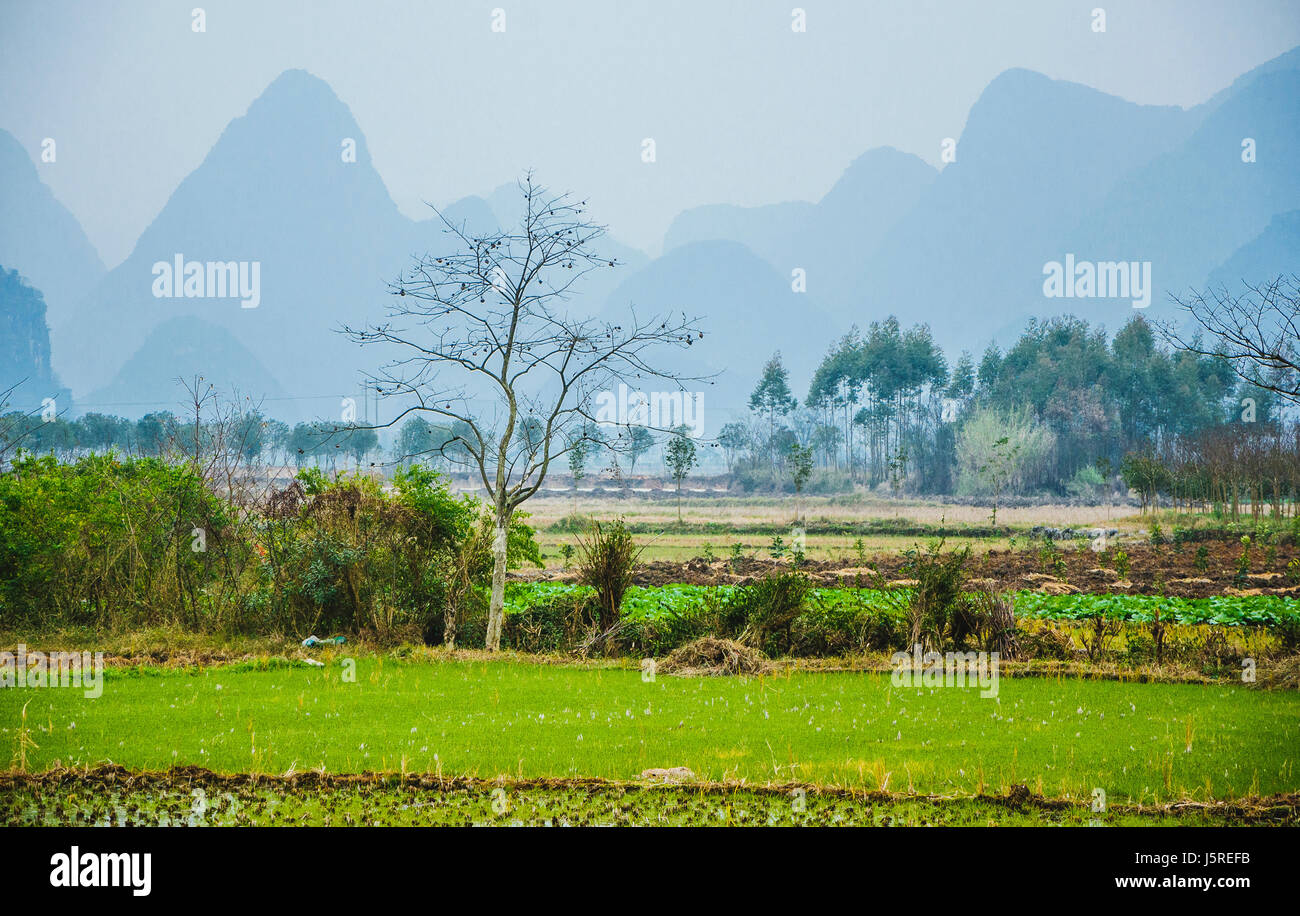 The colorful countryside scenery in autumn Stock Photo - Alamy