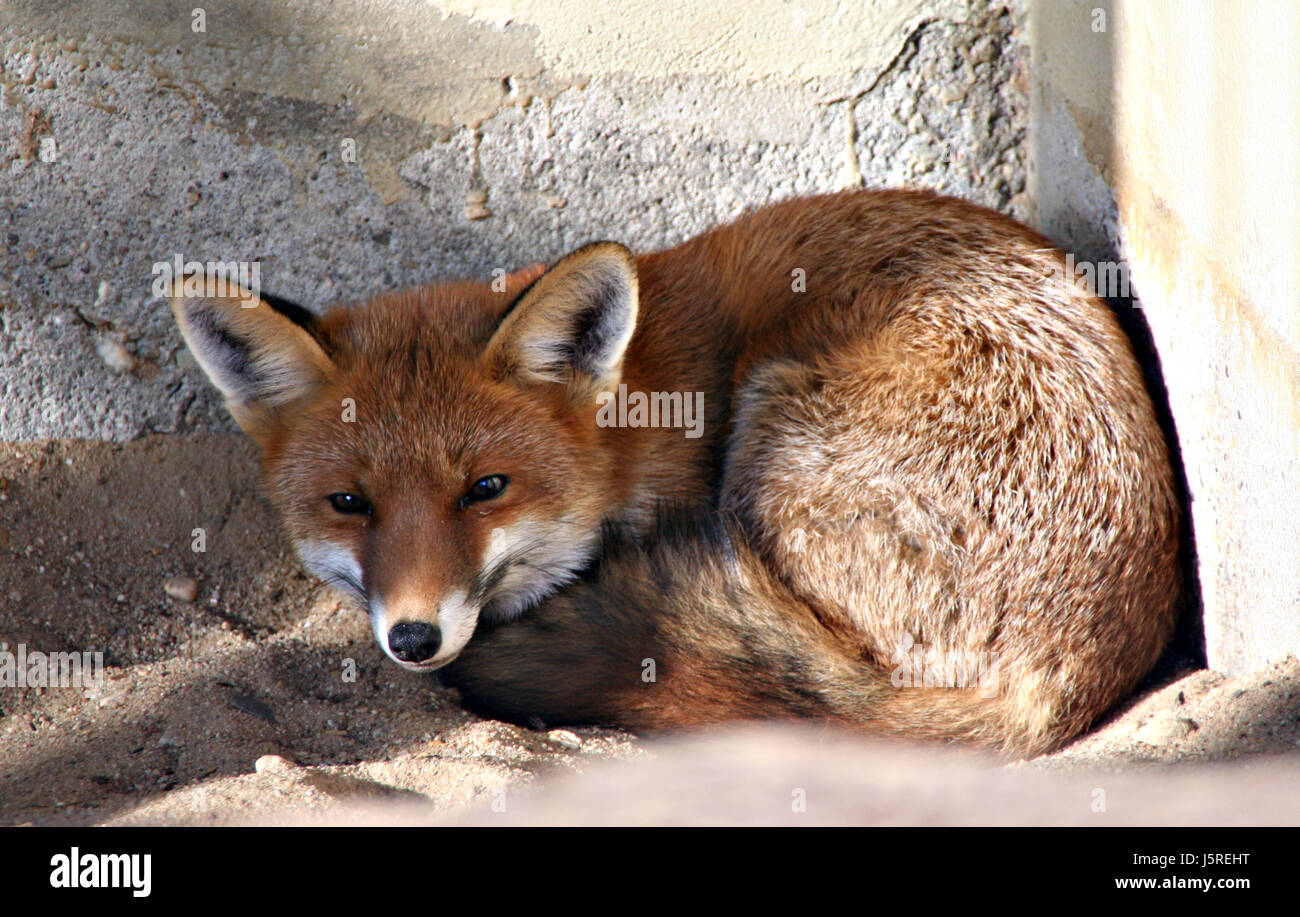 Undeserving hi-res stock photography and images - Alamy