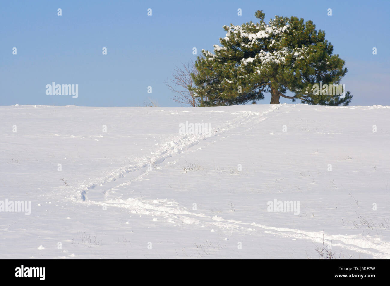 First tracks hi-res stock photography and images - Alamy