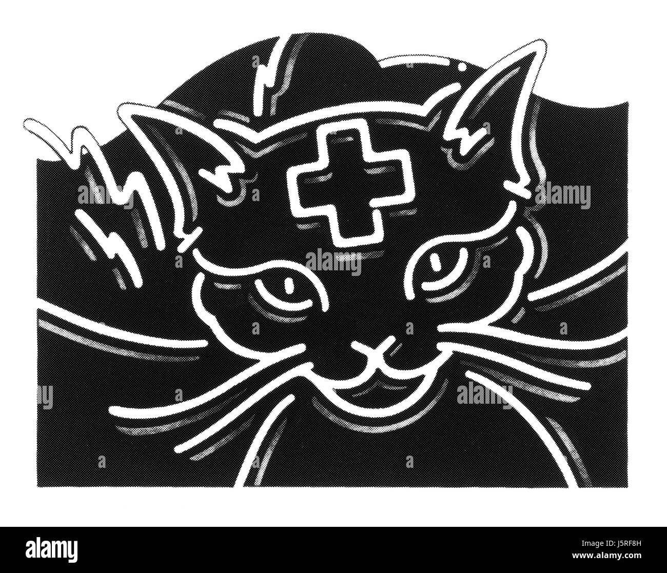 Cat rescue sign hi-res stock photography and images - Alamy