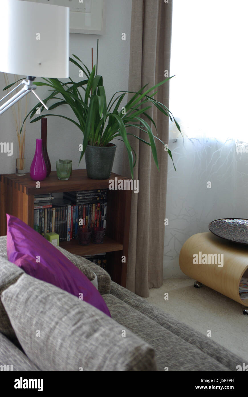 couch sofa dvd shelf housing space photo picture image copy deduction ...