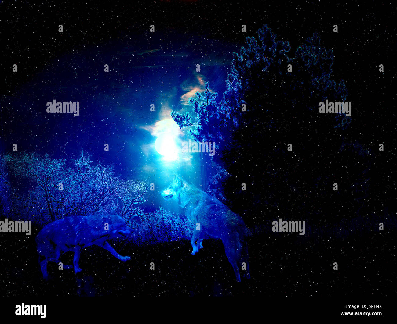 night nighttime darkness moon photo composition fear dismal full moon ...