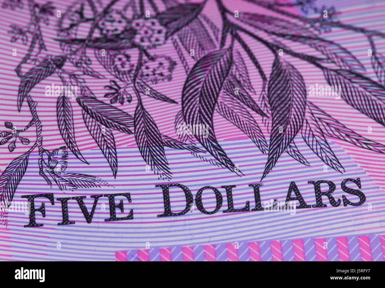 Five dollars hi-res stock photography and images - Alamy