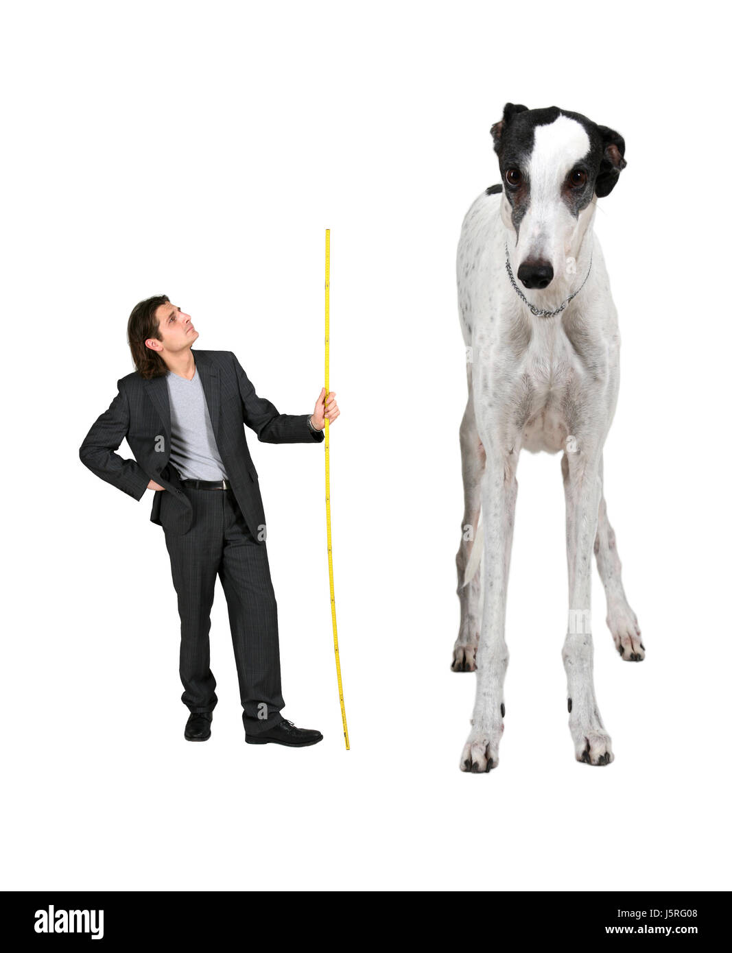 big large enormous extreme powerful imposing immense relevant human ...