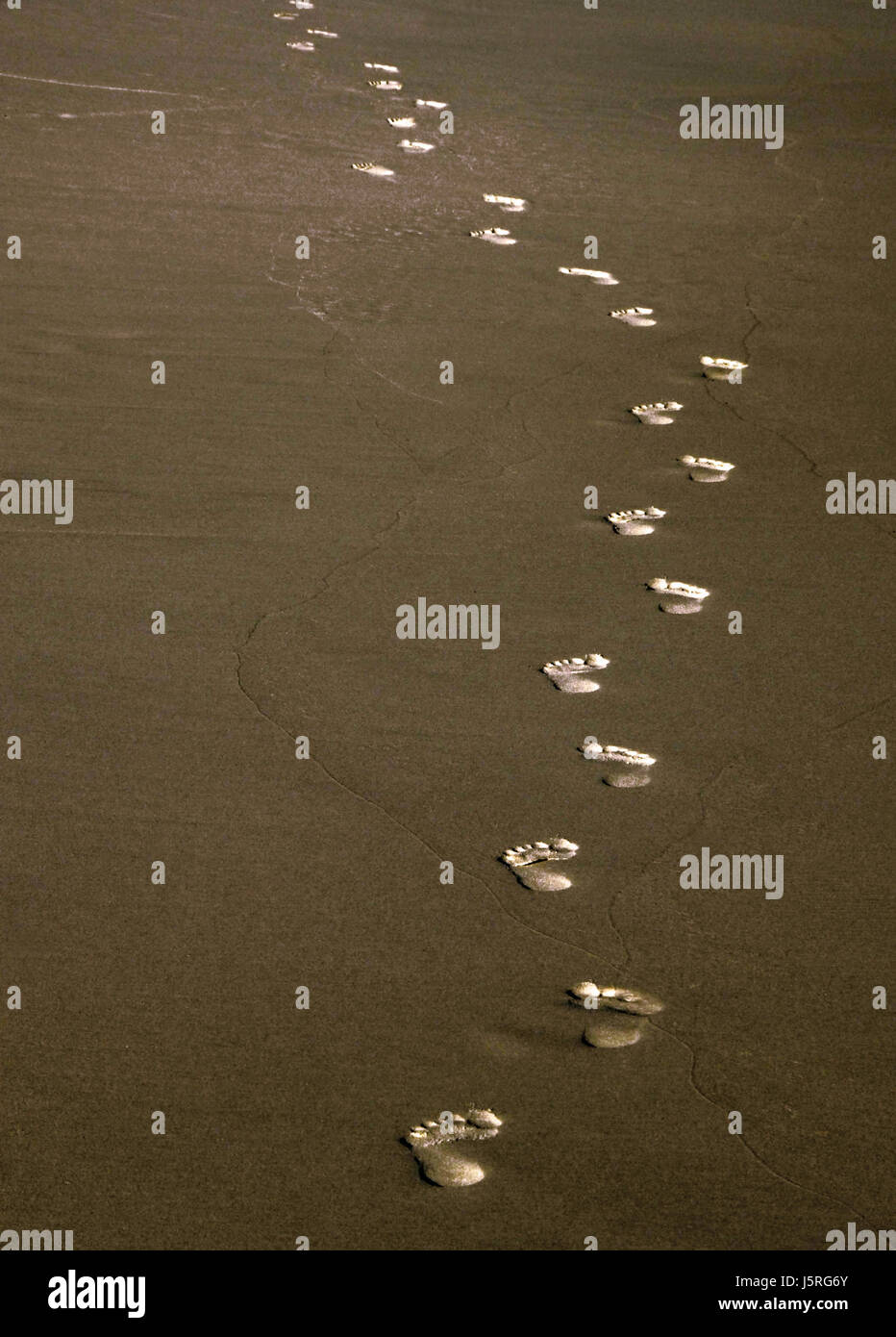 Gone for a walk hi-res stock photography and images - Alamy