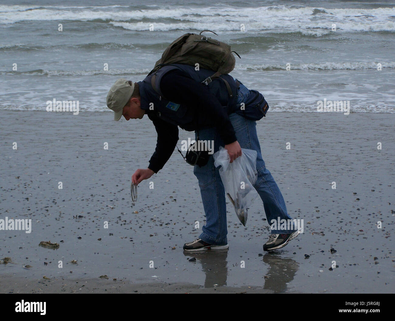 cold beach seaside the beach seashore water north sea salt water sea ...