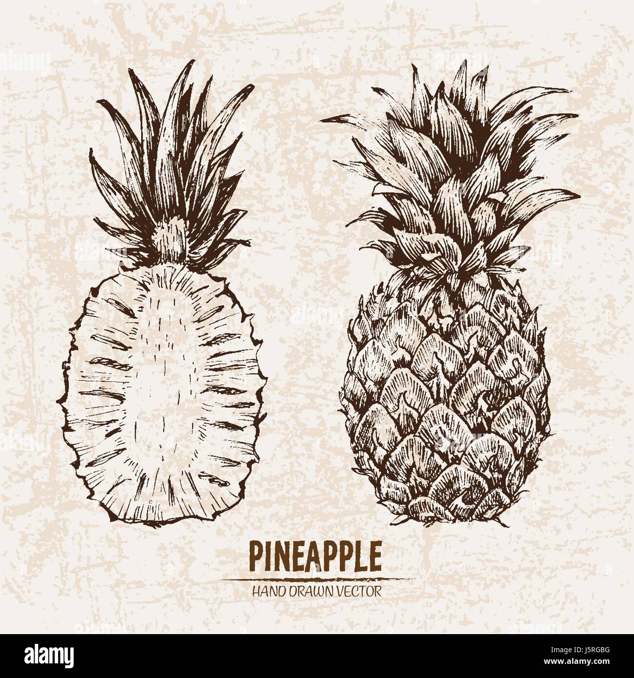 Pineapple Illustration Vintage