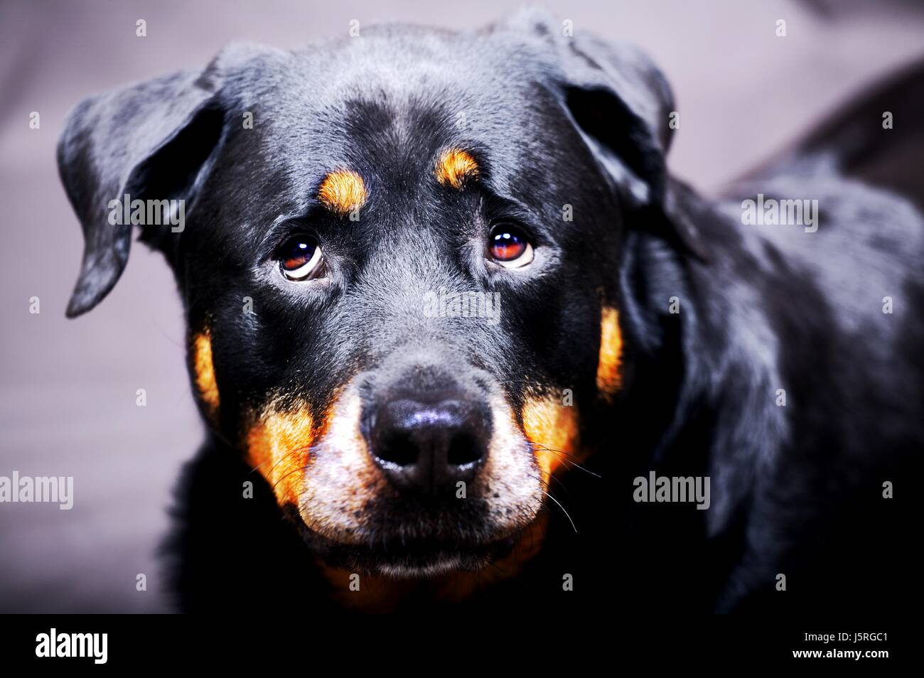 sign signal wait waiting sad eyes look glancing see view looking ...