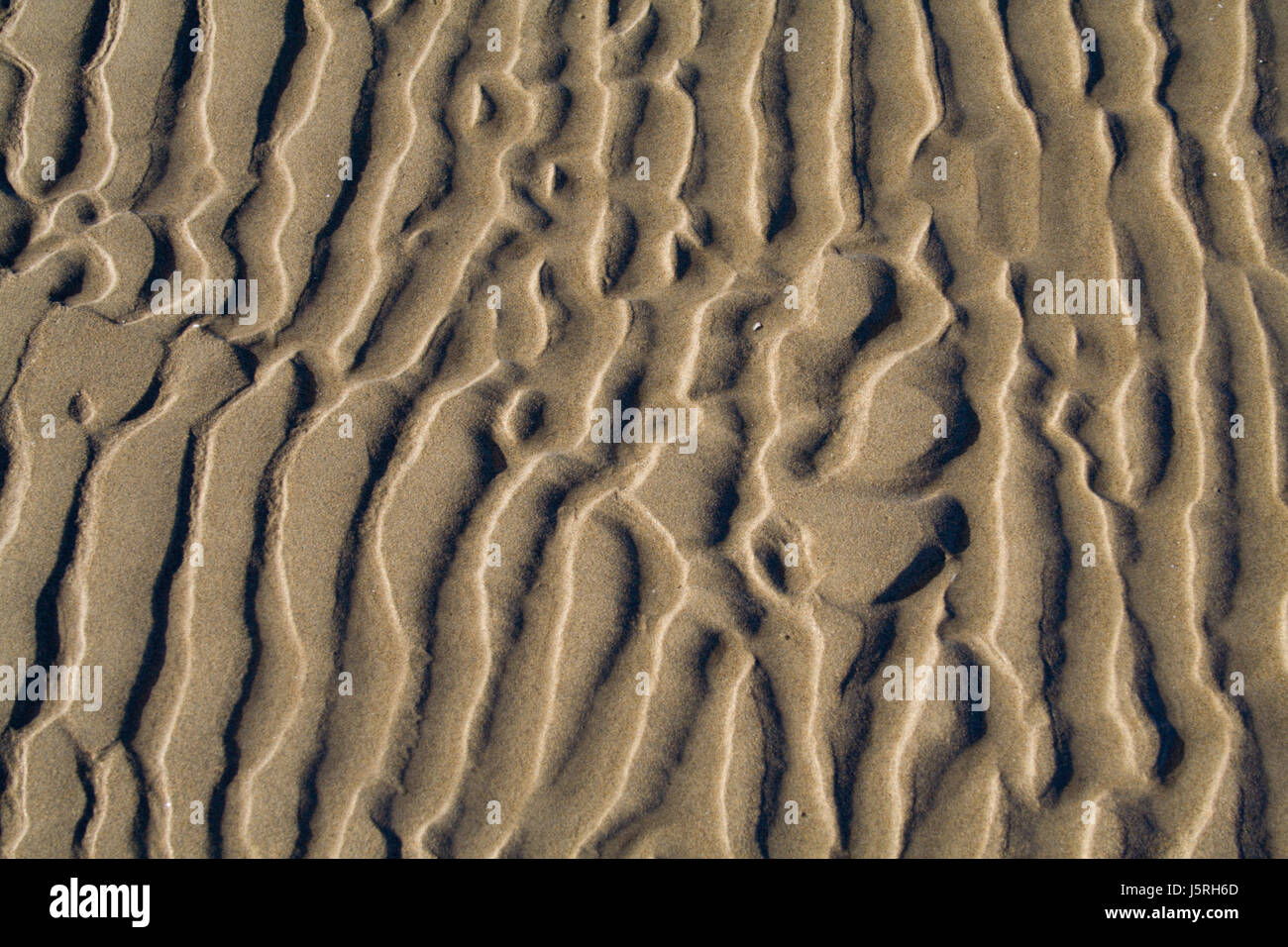 beach seaside the beach seashore relief design shaping formation shape ...