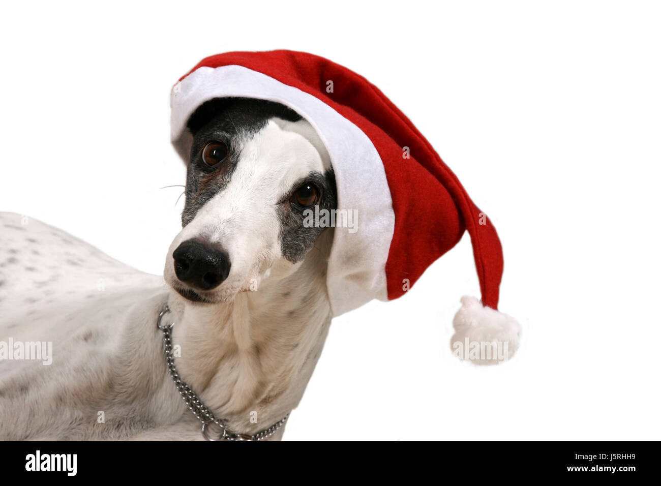 black swarthy jetblack deep black eyes witty blank european caucasian ...