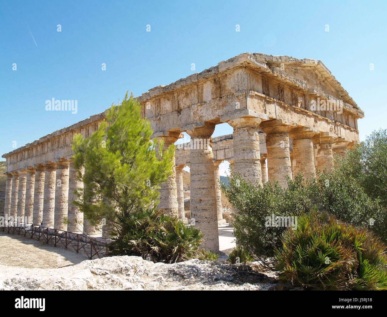 temple pine greece summer summerly greek palm tree sicily firmament sky ...