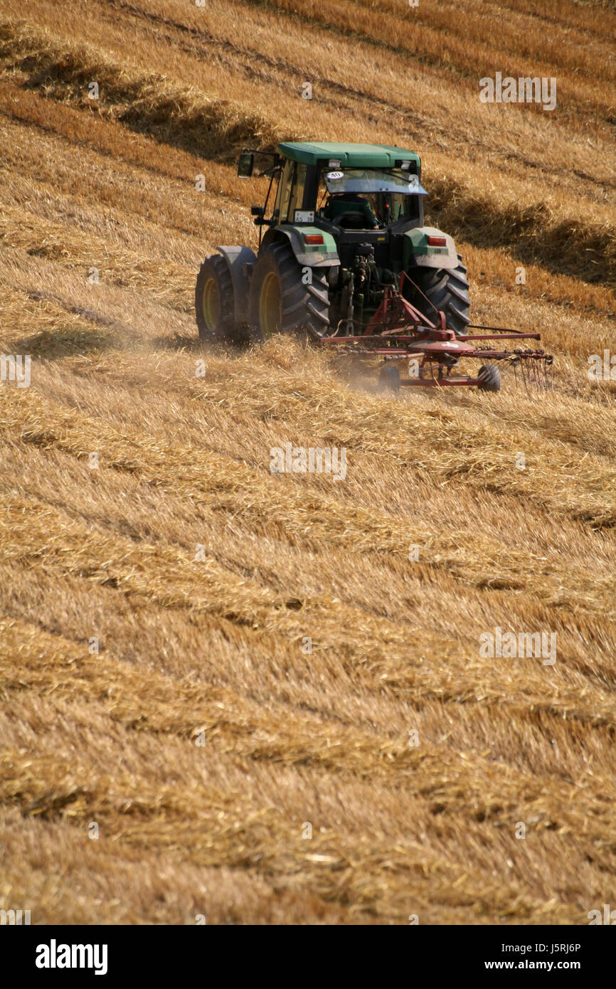 dust agriculture farming field summer summerly acre dusty stubble field ...